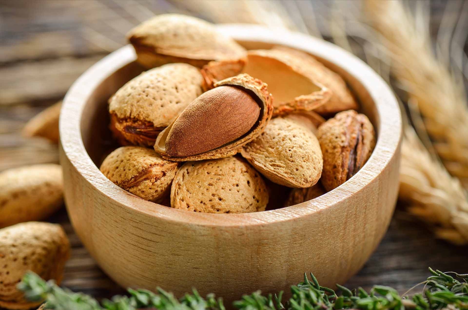 Top Nuts and Spices Supplier Dubai Sharjah, Abu Dhabi, and UAE